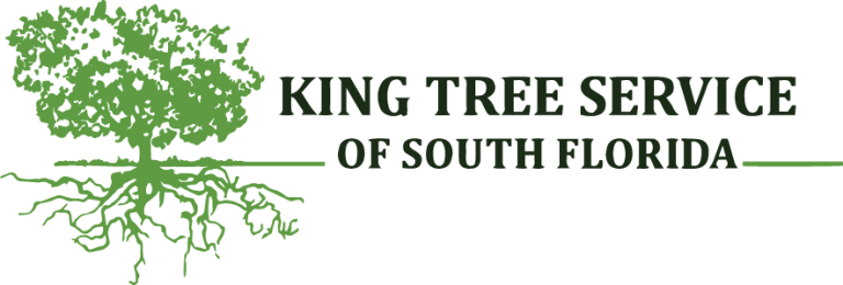 Contact - King Tree Service of South Florida | Lake Park FL